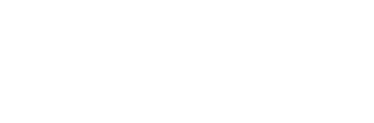 Our Partner - Denodo - Adomita Technologies Pvt Ltd